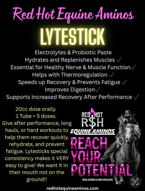 Lyte Stick Electrolyte Paste – Red Hot Equine Aminos
